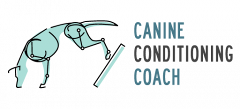 Official CCC Beginner Program » Canine Conditioning Coach