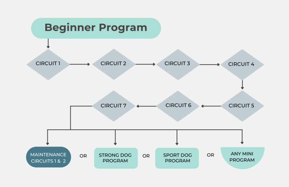 Official CCC Beginner Program » Canine Conditioning Coach