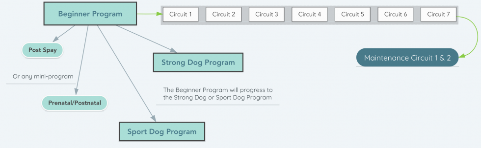 Official CCC Beginner Program » Canine Conditioning Coach