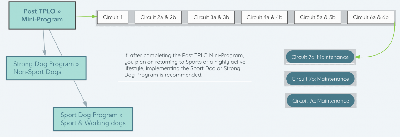 Official CCC Post TPLO Mini-Program » Canine Conditioning Coach