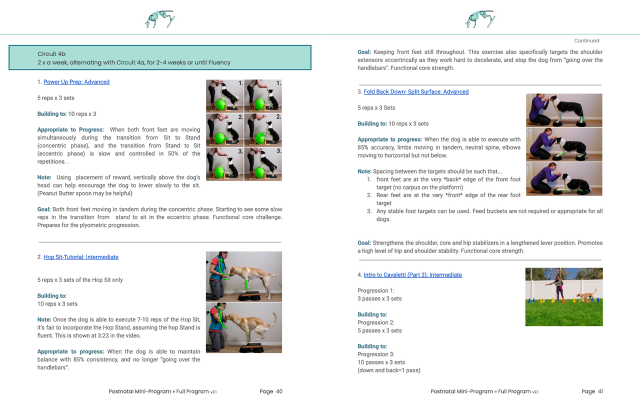 Official CCC Postnatal Mini-Program » Canine Conditioning Coach