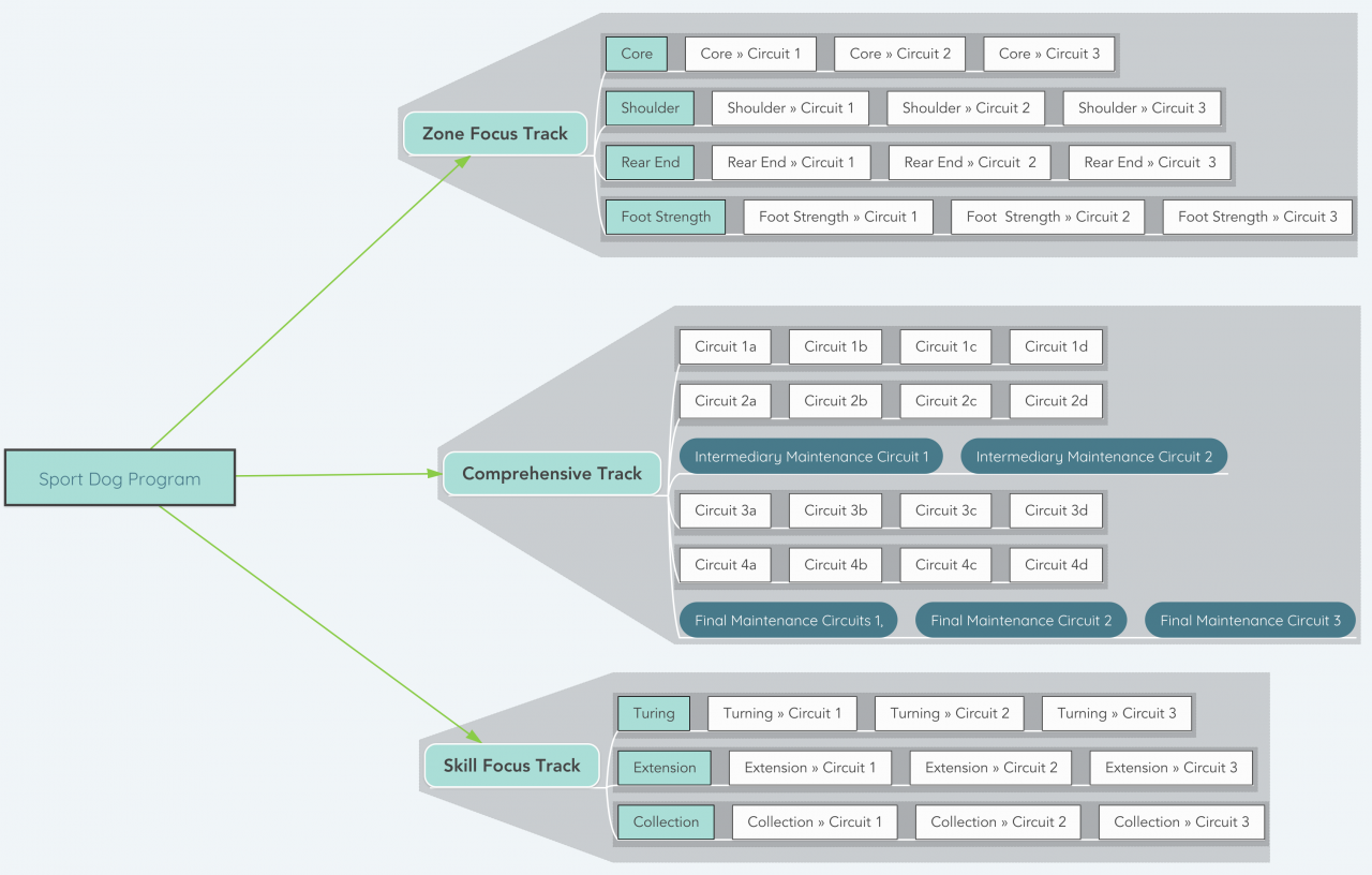 Official CCC Sport Dog Program » Canine Conditioning Coach