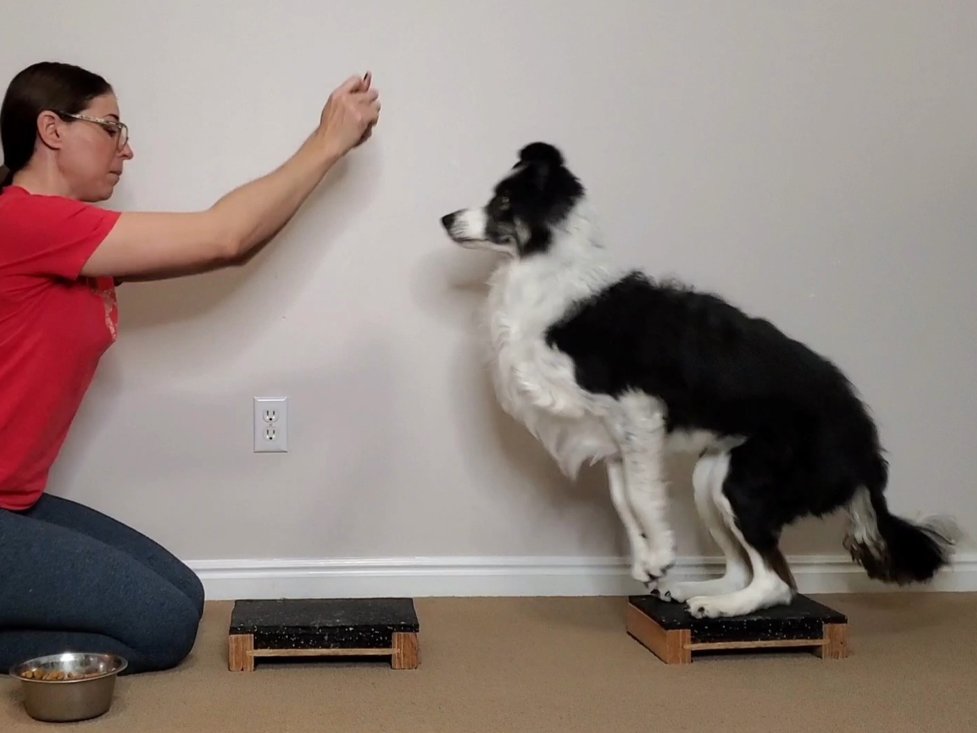 Horizontal Hiccup: Expert » Canine Conditioning Coach