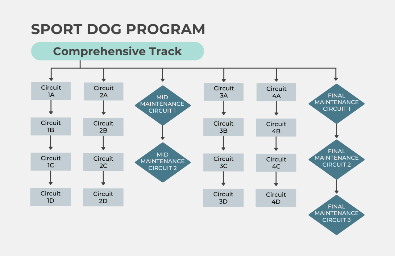 Official CCC Sport Dog Program » Canine Conditioning Coach