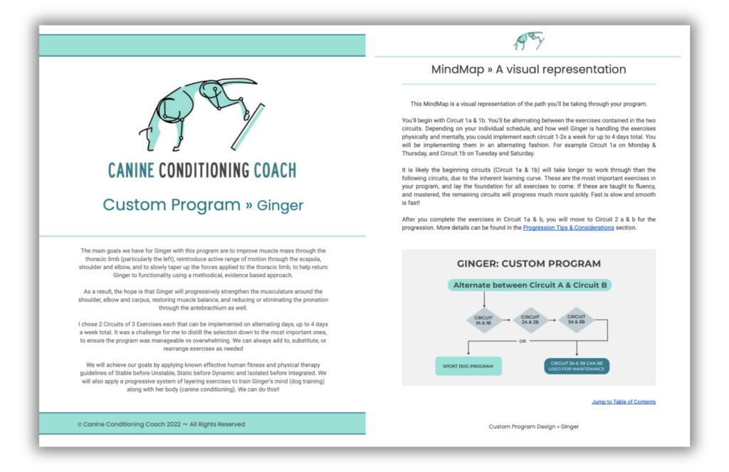 Custom Programs: Details » Canine Conditioning Coach
