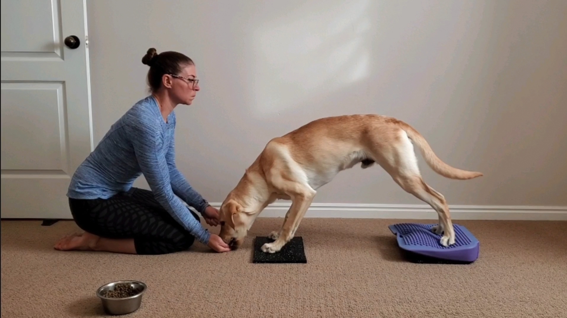 Official CCC Beginner Program » Canine Conditioning Coach